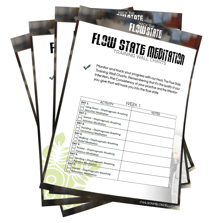 Hack The Flow State - How to Enter The Zone And Boost Productivity