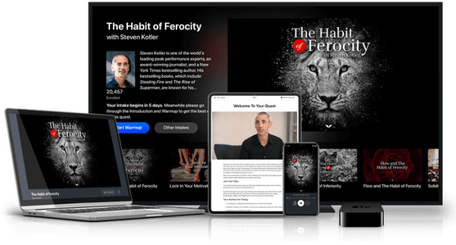 Wow! My Honest Review After Completing The Habit of Ferocity in 35 Days